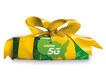 Cricket Holiday | Why Cricket